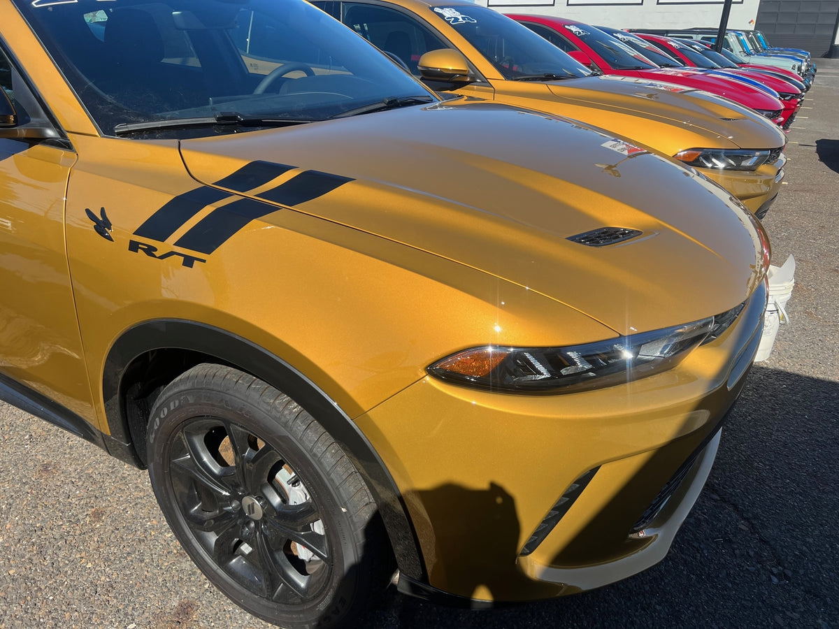 Fender Slash Decals for 2023-2024 Dodge Hornet (x2) – Acerbographix